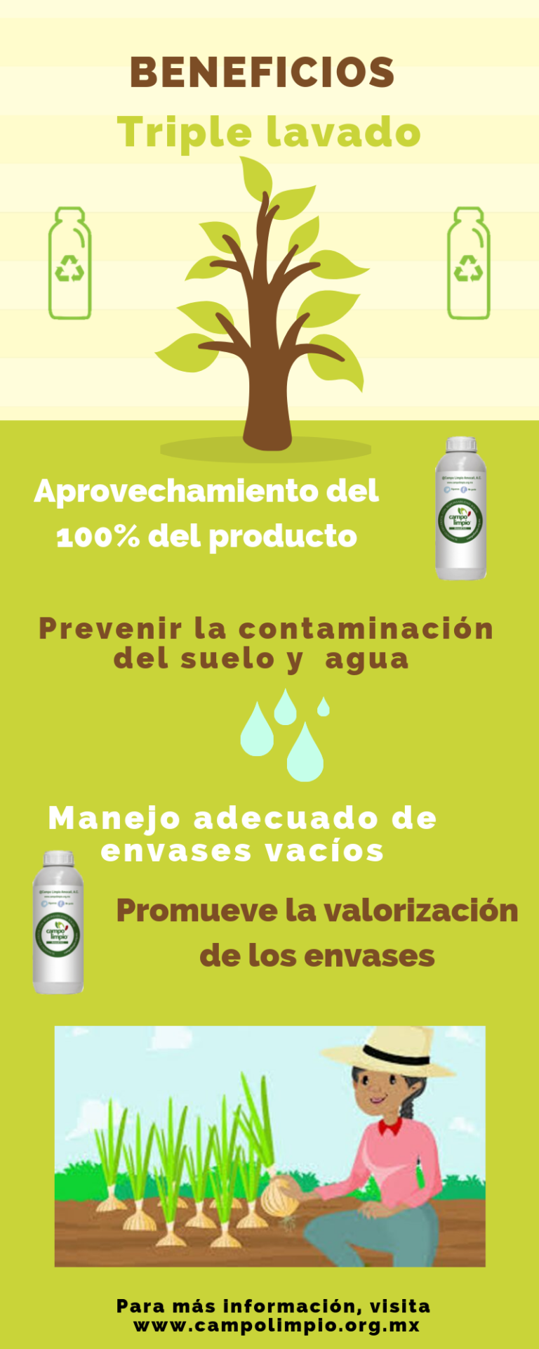 ¿CÓMO SE DEBE REALIZAR LA TÉCNICA DE TRIPLE LAVADO? - Campo limpio ...